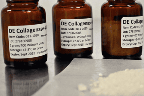 DE Collagenase is Now PD Collagenase - VitaCyte